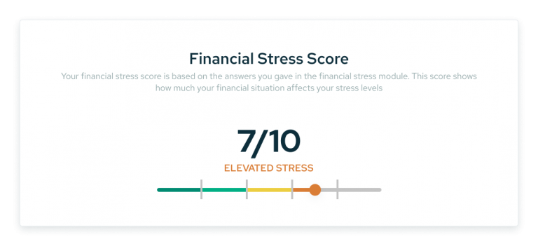 A Guide to Assessing, Understanding, and Reducing Financial Stress ...